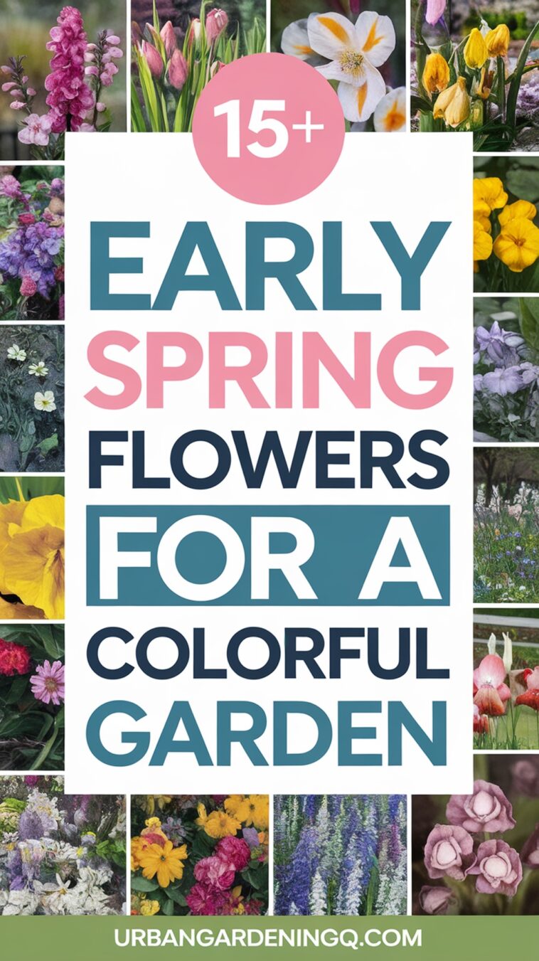 15 Must-Grow Early Spring Flowers for a Colorful Garden - Urban ...