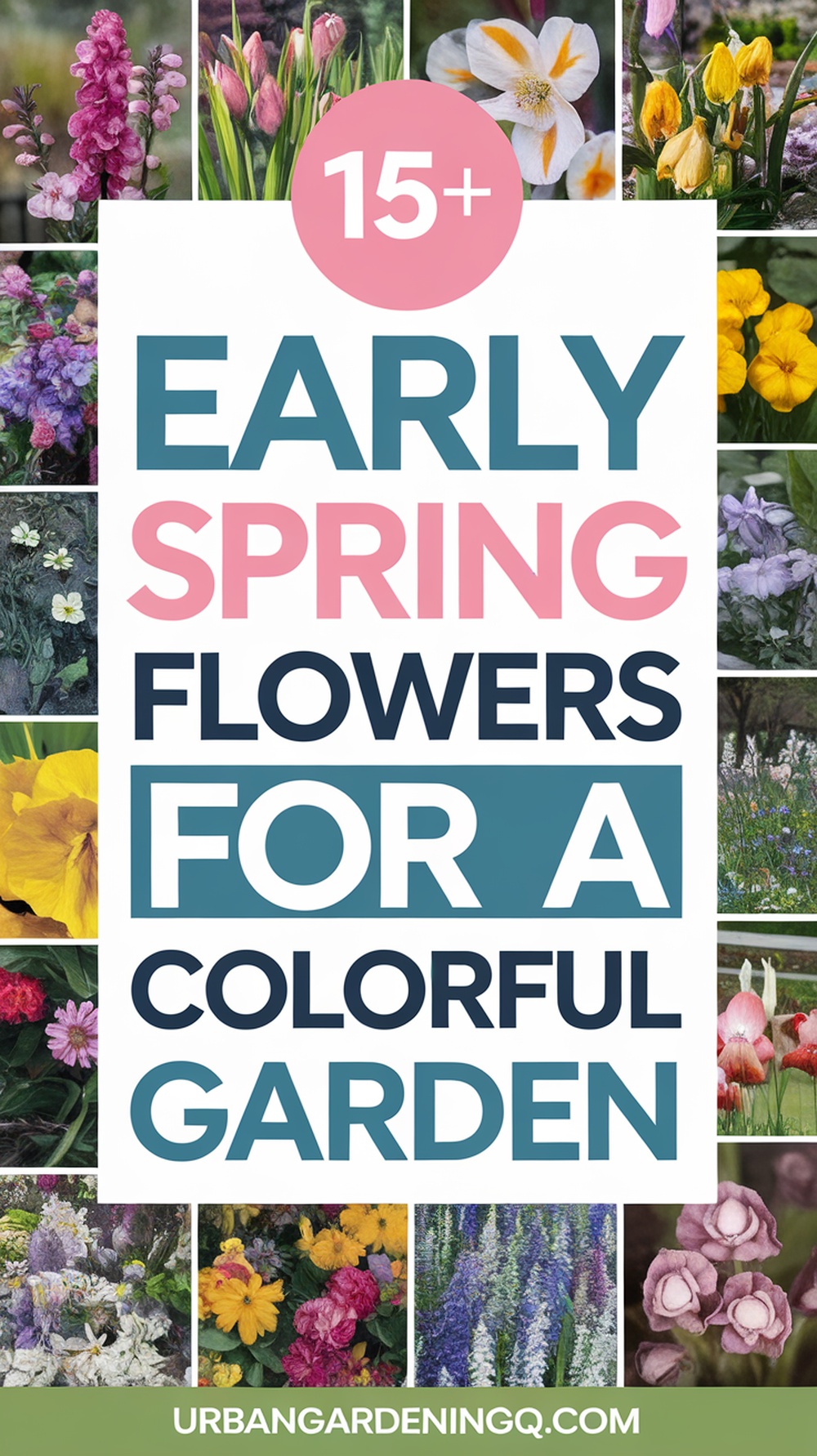 15 Must-Grow Early Spring Flowers for a Colorful Garden - Urban ...