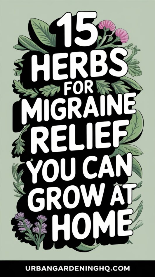 15 Herbs for Migraine Relief You Can Grow at Home - Urban Gardening HQ