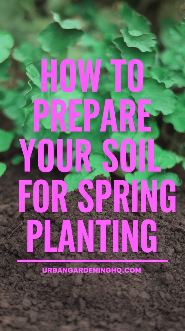 How to Prepare Your Soil for Spring Planting: A Gardener’s Guide