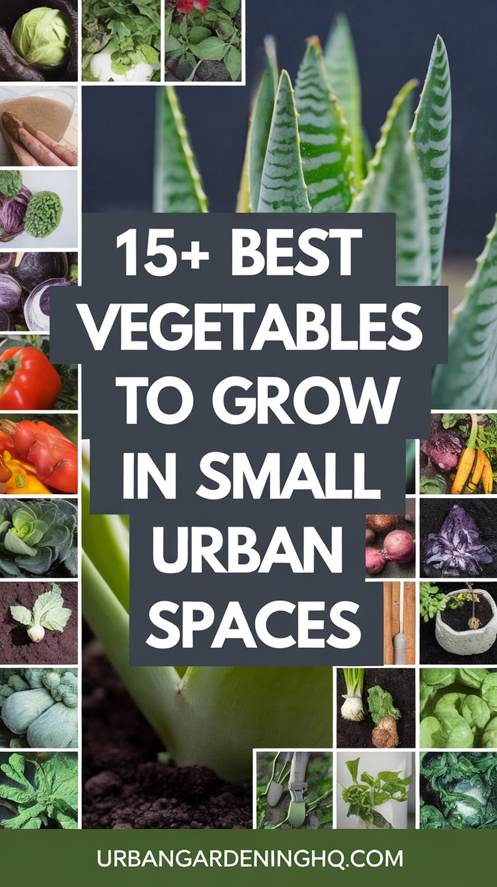 The Best Vegetables to Grow in Small Urban Spaces - Urban Gardening HQ