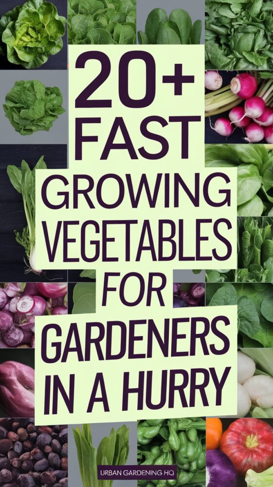 20+ Fast-Growing Vegetables for Gardeners in a Hurry - Urban Gardening HQ